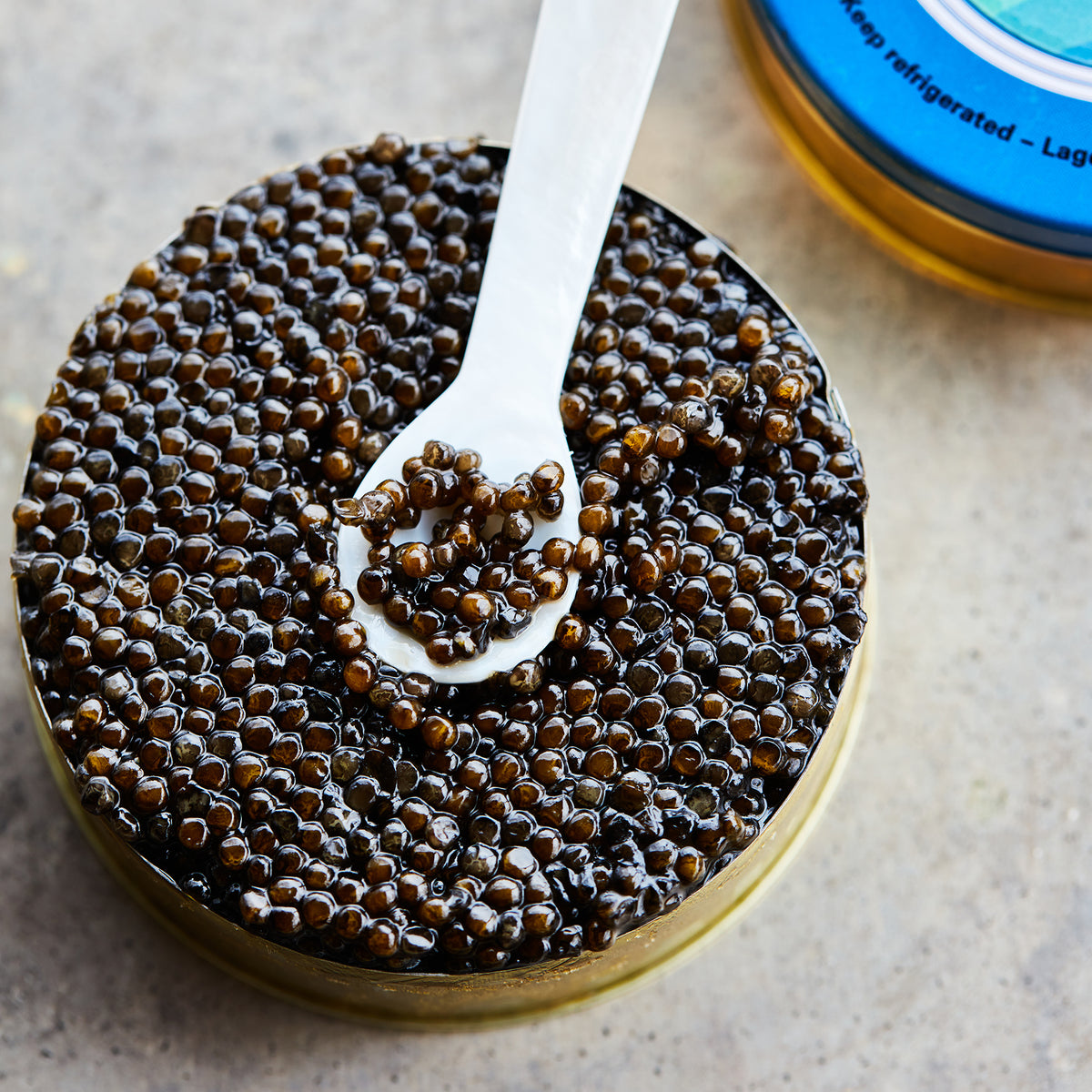 Hackleback Roe // Caviar For Sale // Domestic Seafood™